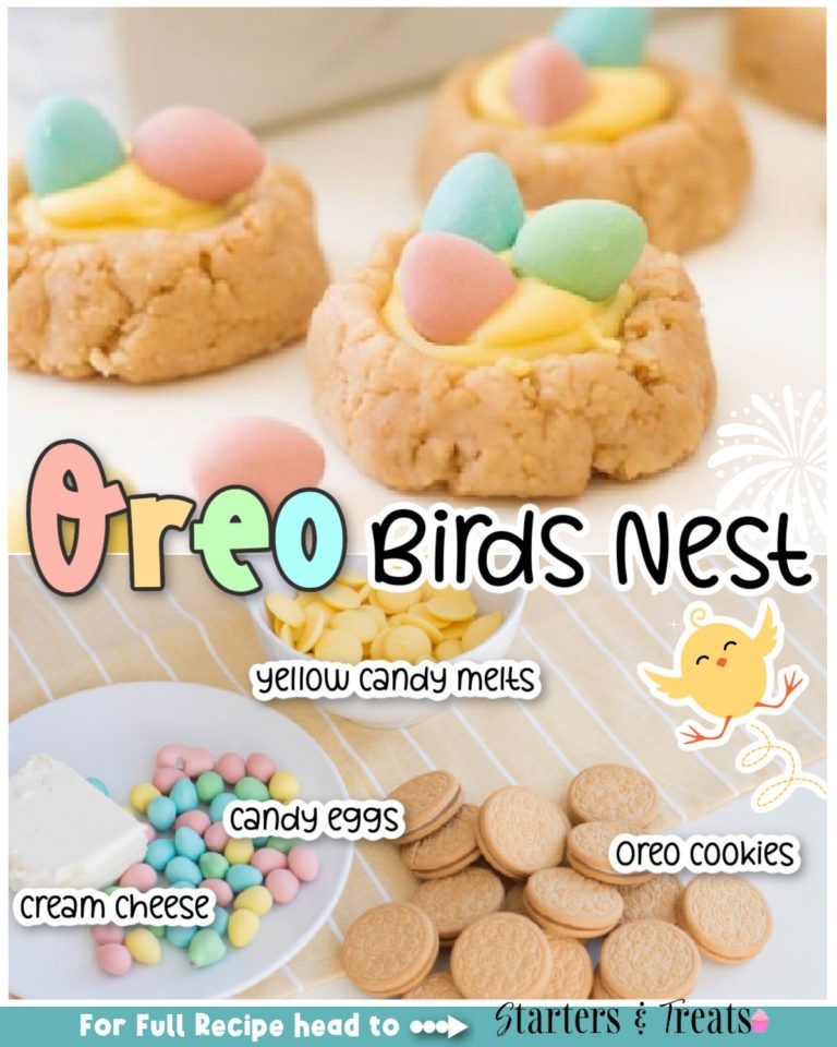 Oreo Truffle Birds Nest - Starters and Treats