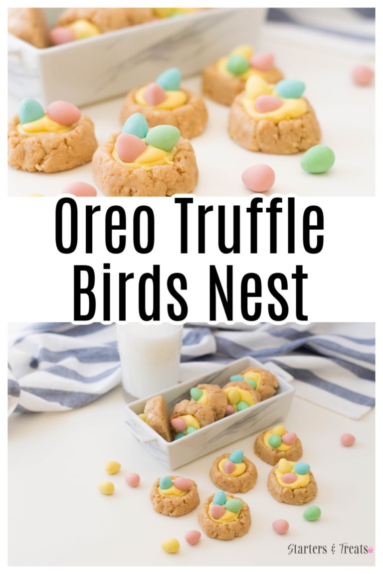 Oreo Truffle Birds Nest - Starters and Treats
