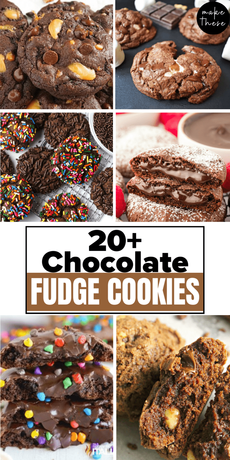 20+ CHOCOLATE FUDGE COOKIE RECIPES - Starters and Treats