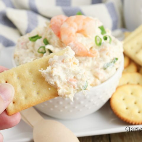 Easy Cold Seafood Dip - Starters and Treats